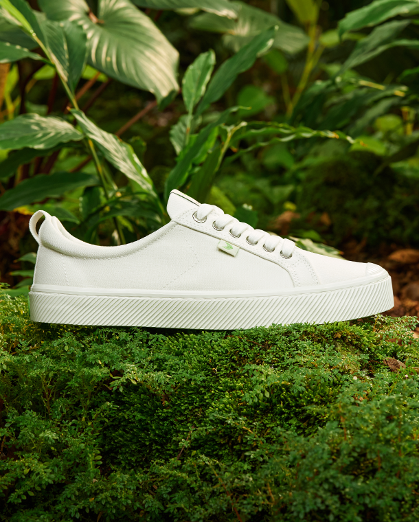 Éthique et stylé - Cariuma paris France